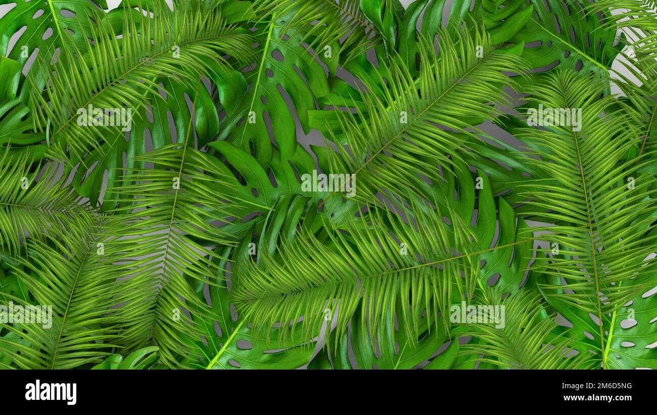 3D render of realistic palm leaves on white background for cosmetic ad ...