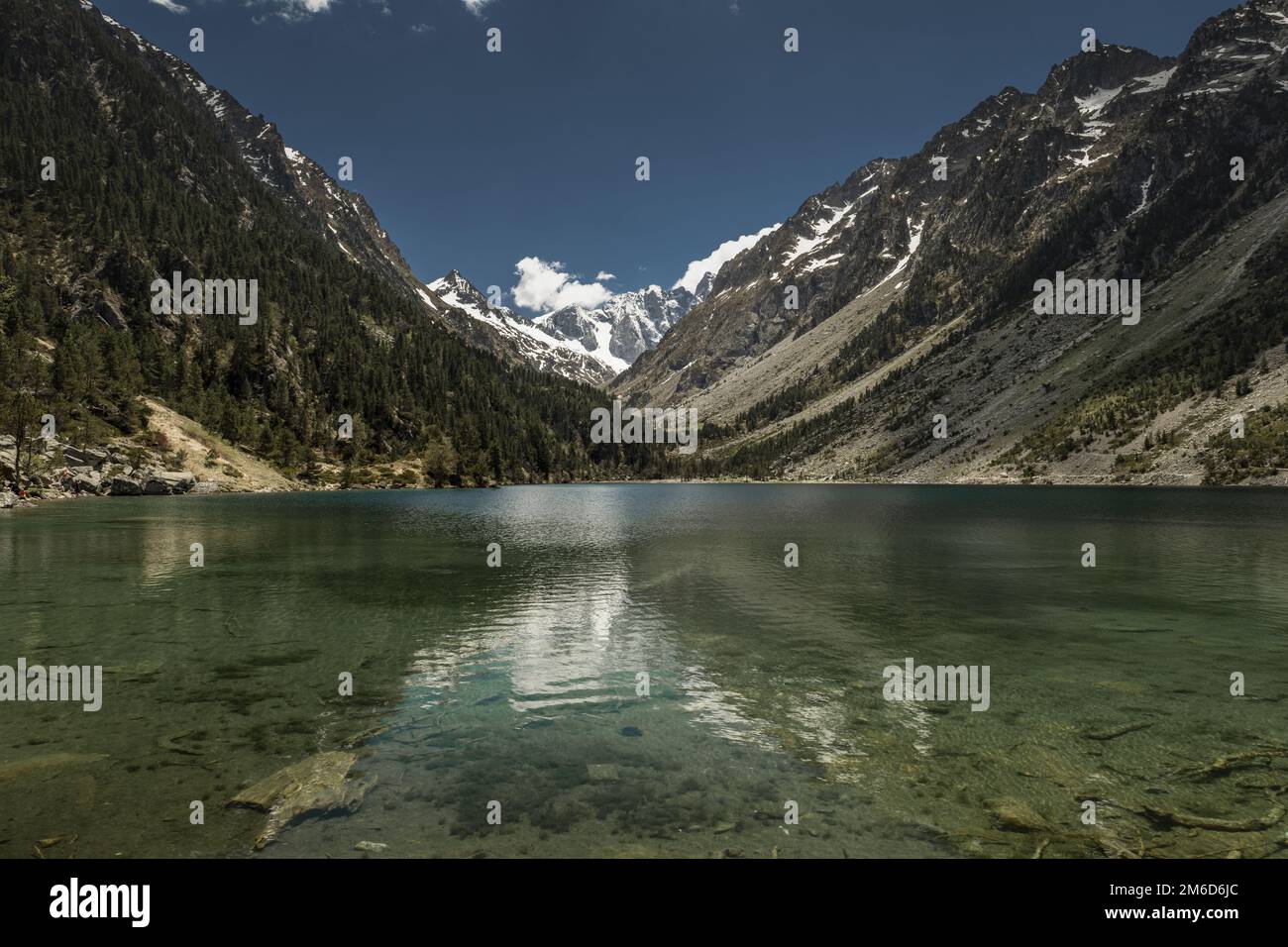 Idyllic summer landscape in the French mountains Stock Photo - Alamy