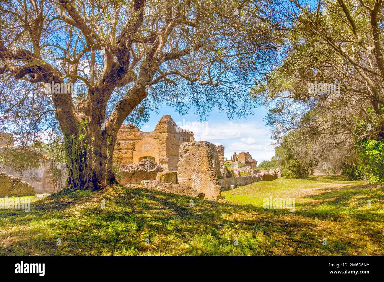 Italian ruins background hi-res stock photography and images - Alamy