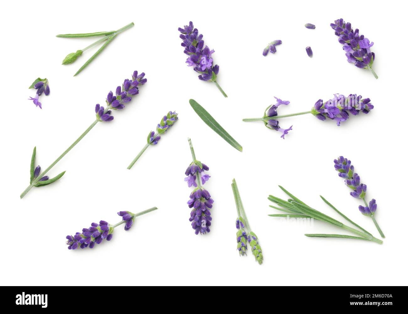 Flower background, natural, flat Cut Out Stock Images & Pictures - Alamy