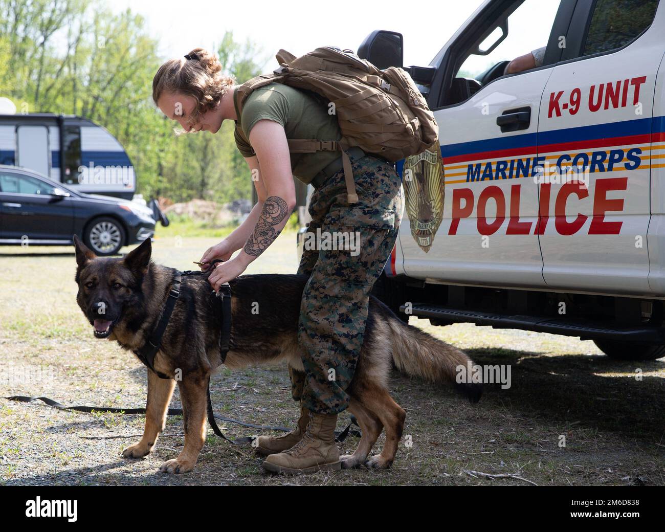 Scout dog handler hi-res stock photography and images - Alamy