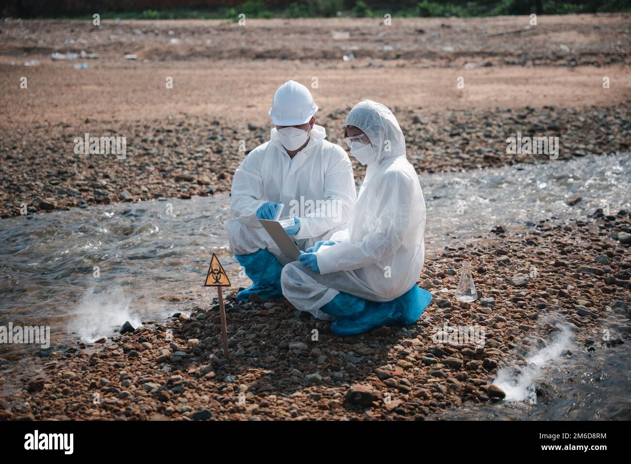 Ecologist sampling taken dead fish to inspaction and save data to ...