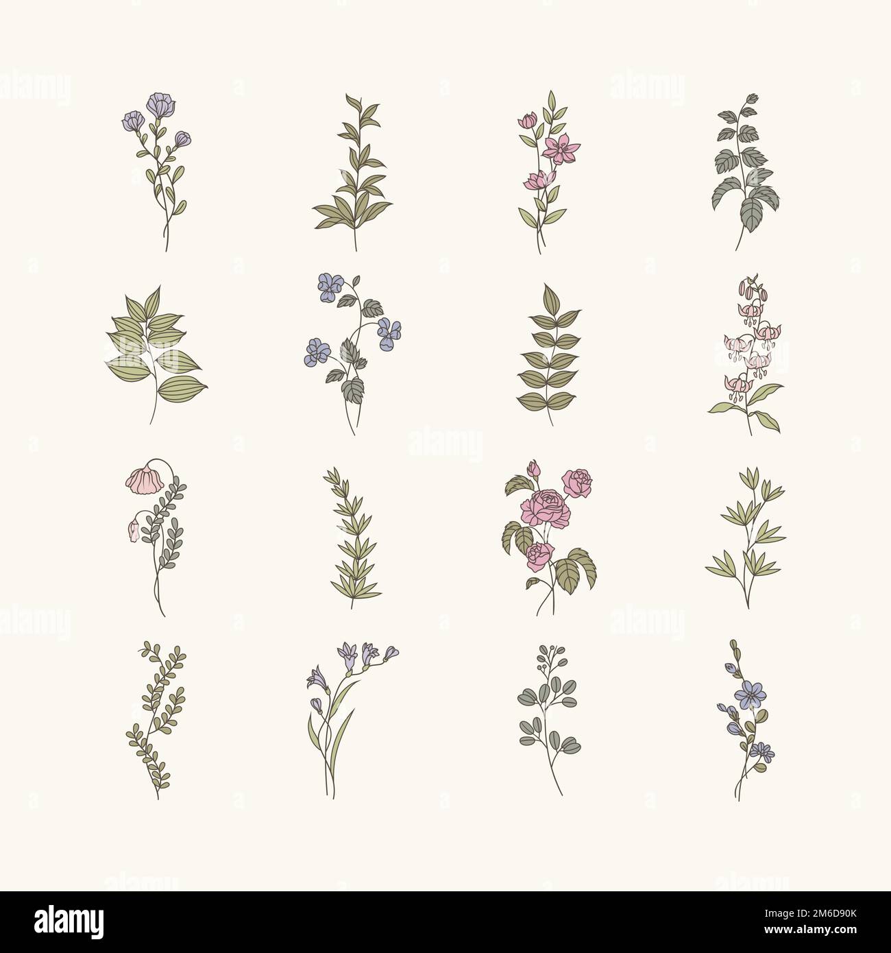 Botanical element hi-res stock photography and images - Alamy