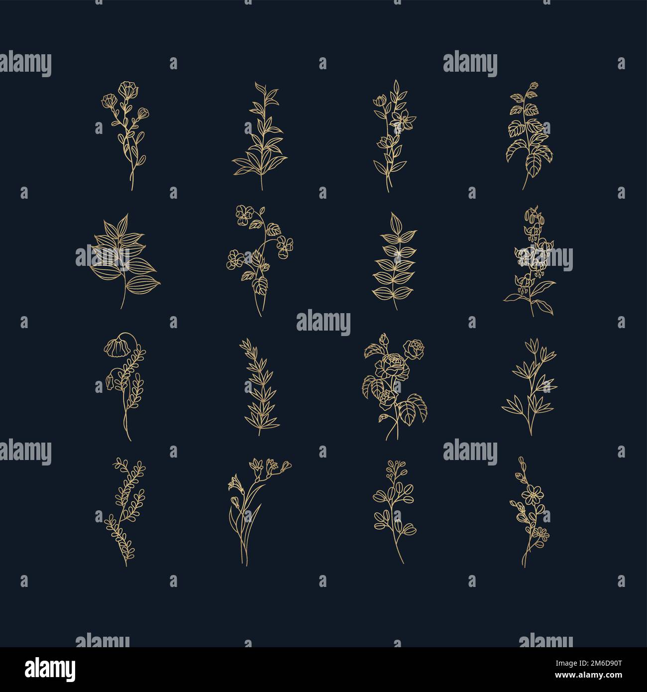Botanical element Stock Vector Images - Alamy