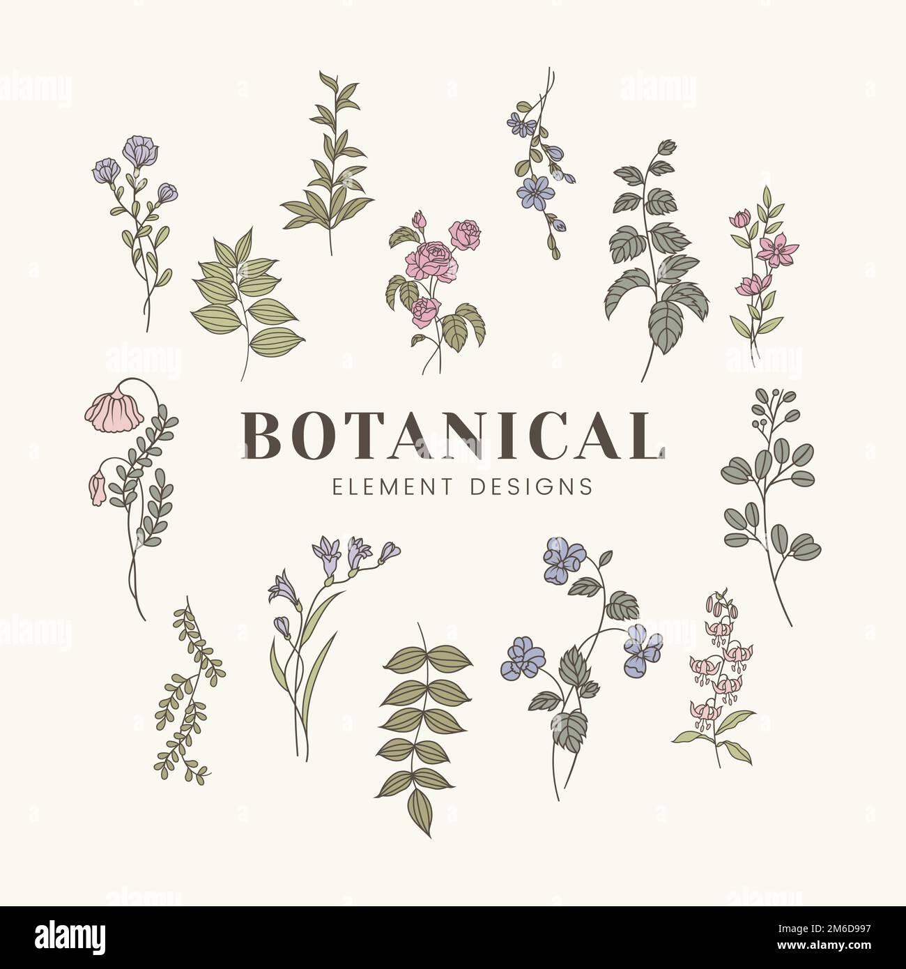 Chiffon vector vectors Stock Vector Images - Alamy