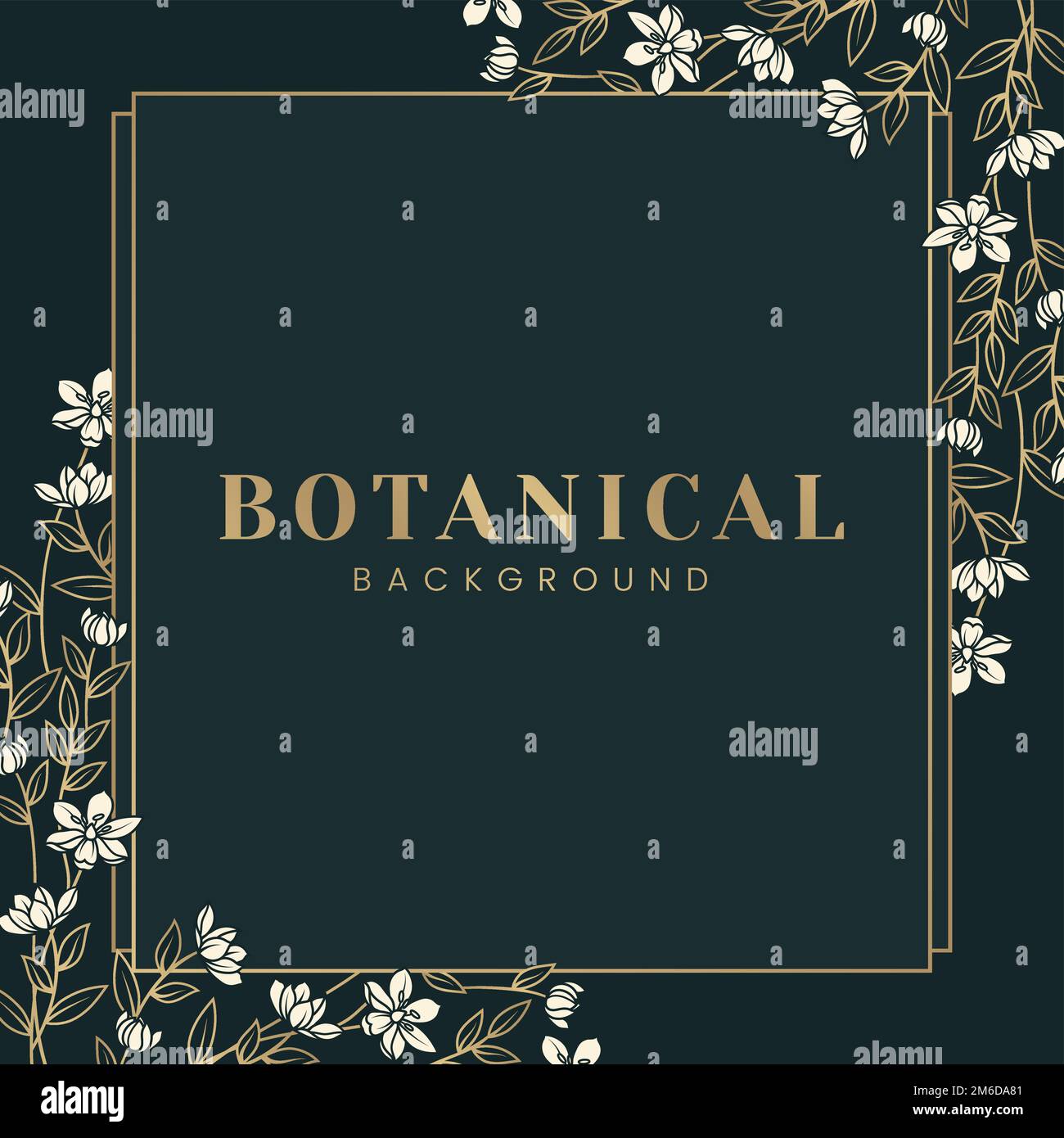 Botanical background with floral frame vector Stock Vector Image & Art ...