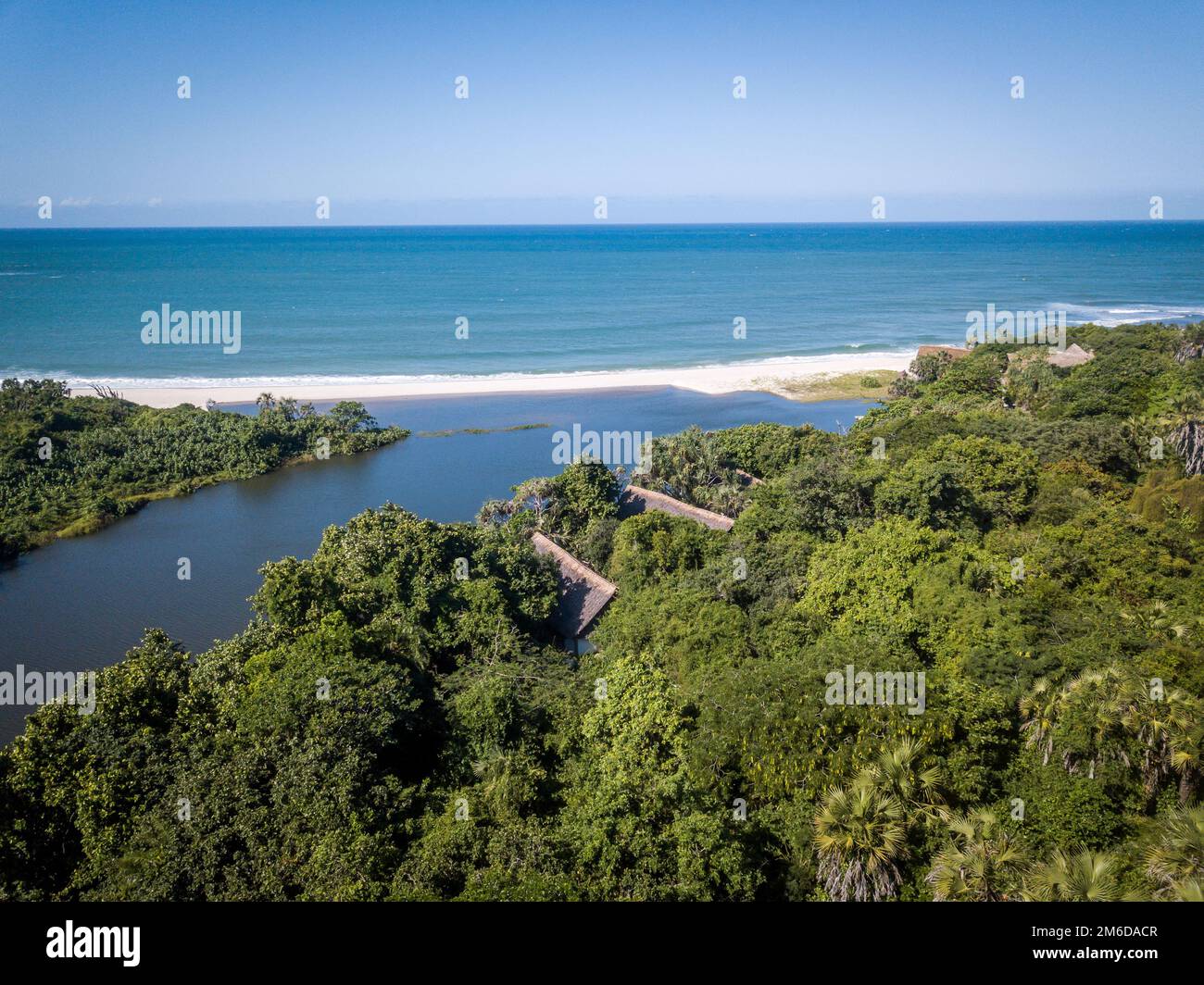 Indian forest ecosystem hi-res stock photography and images - Alamy