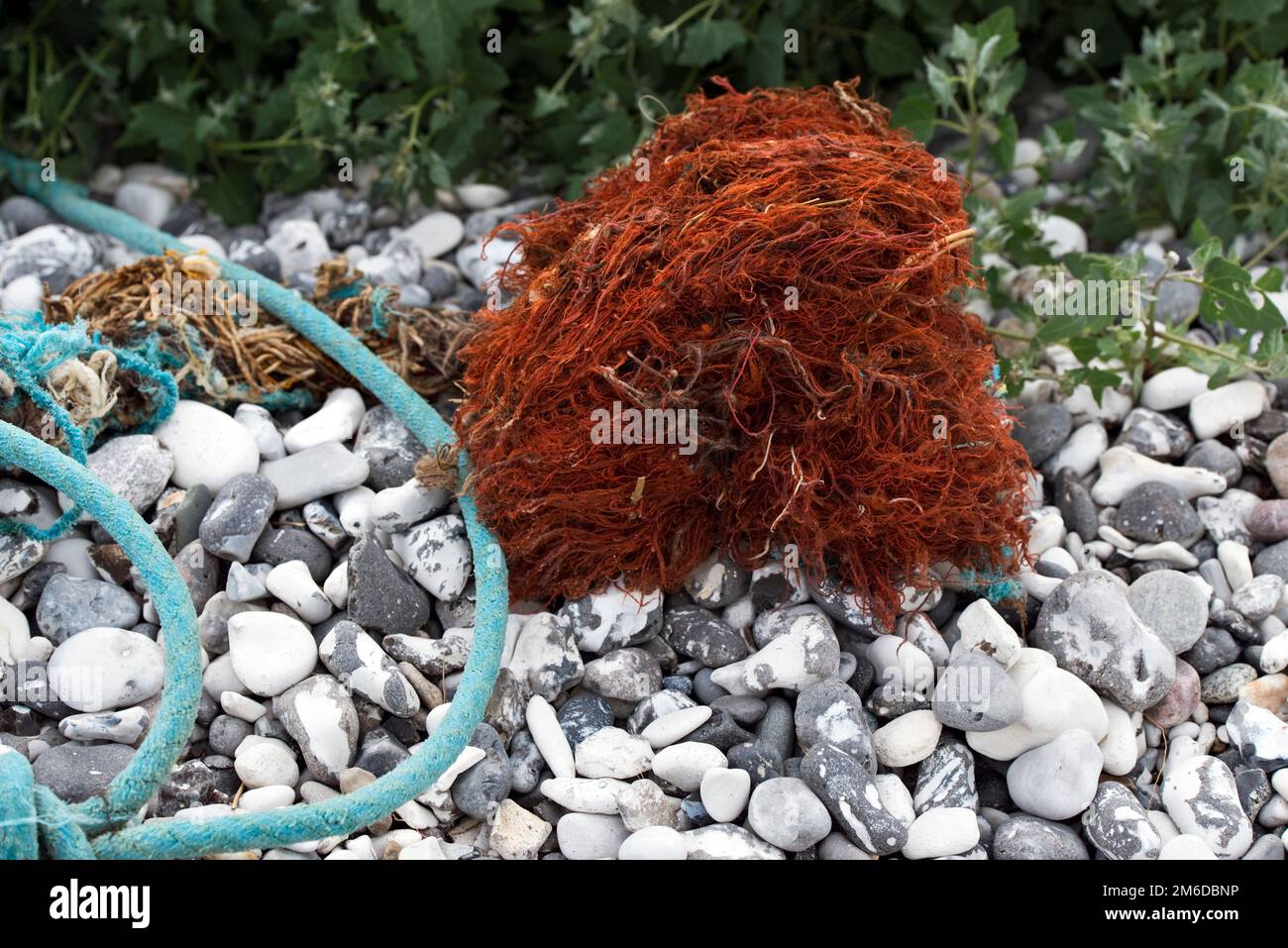 Washed plastic hi-res stock photography and images - Alamy