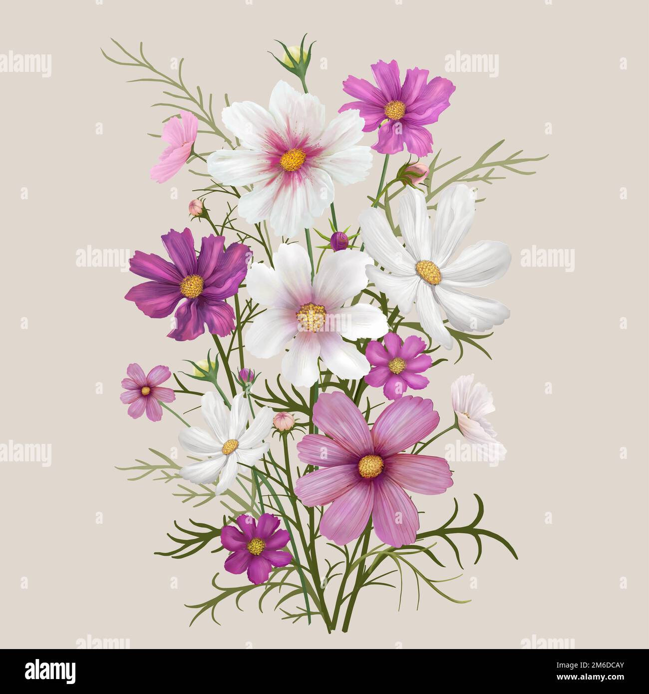 Beautiful daisy flowering plant illustration Stock Vector Image & Art ...