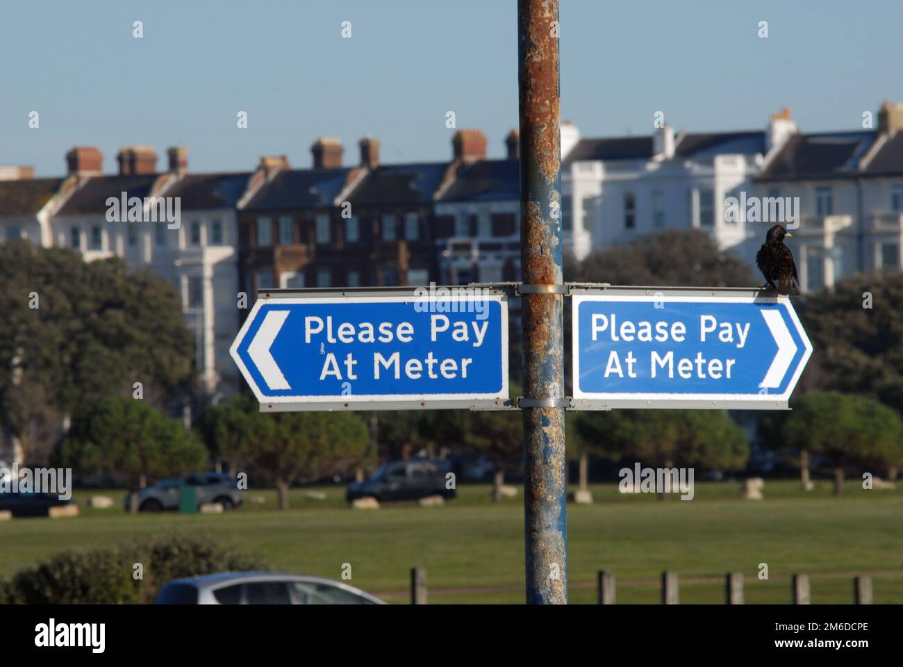 Crow perched of Please Pay At Meter Sign, Southsea Common, Portsmouth ...
