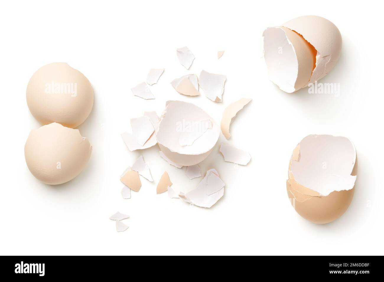 White shells hi-res stock photography and images - Alamy
