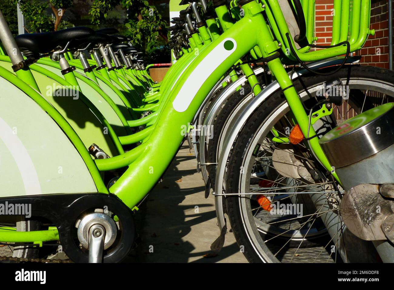 rental city bikes stored in a row in closeup view. urban street ...