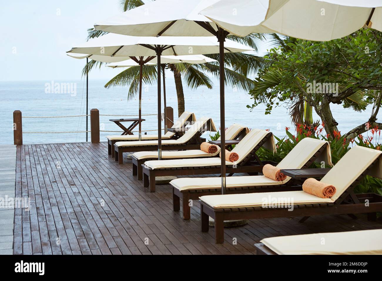 Summer vacation, beach chairs at the resort Stock Photo - Alamy