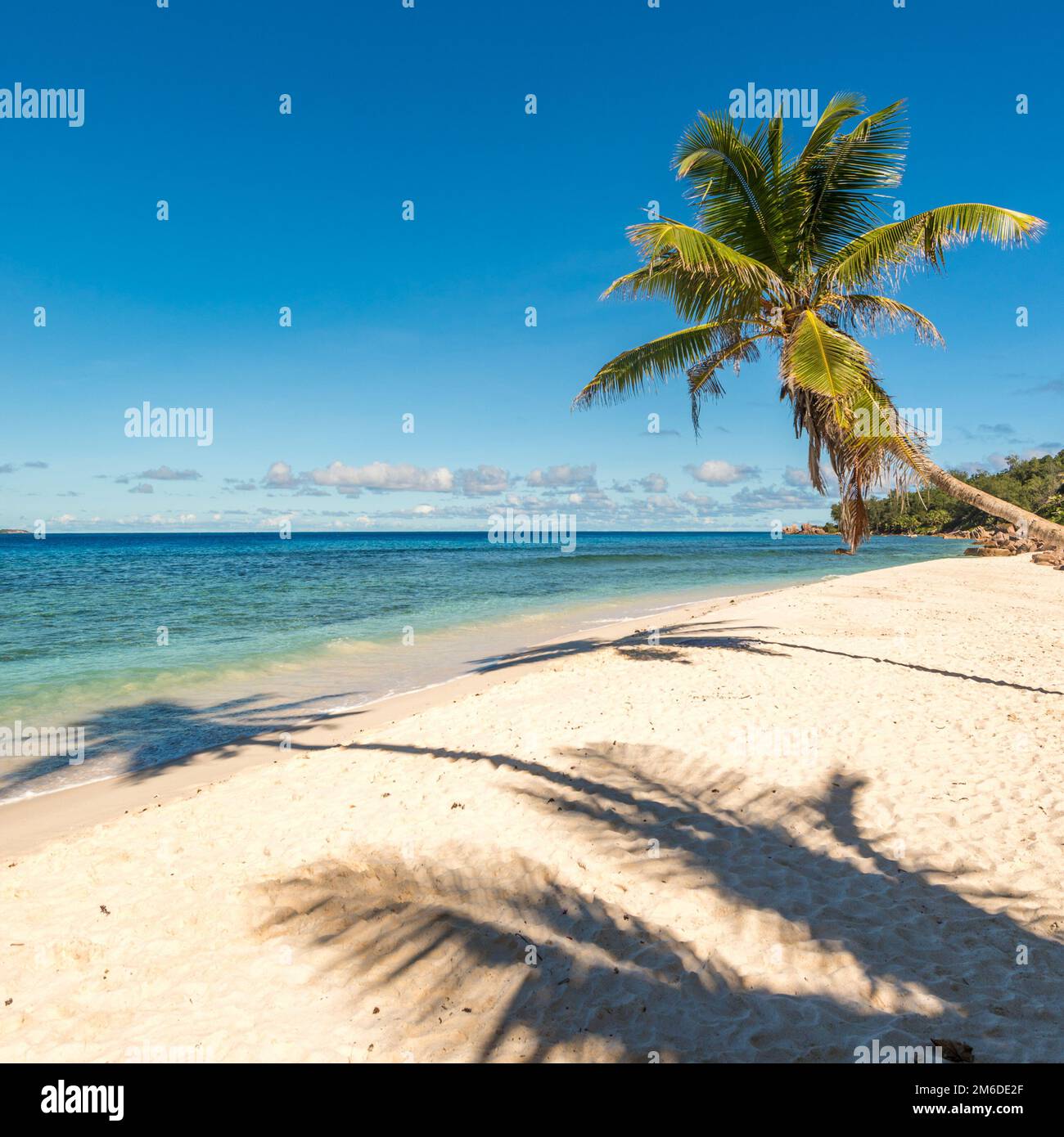 Summer scenery perfect resort beach hi-res stock photography and images ...