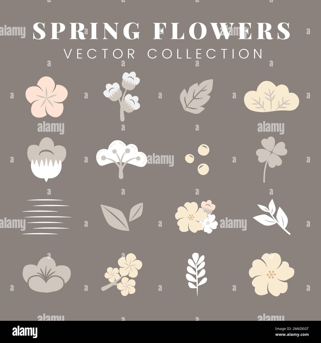 Beige spring flowers vector collection Stock Vector Image & Art - Alamy