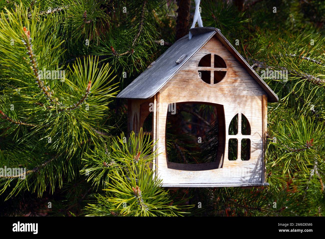 A beautiful wooden bird feeder in the shape of a house hangs on a green ...