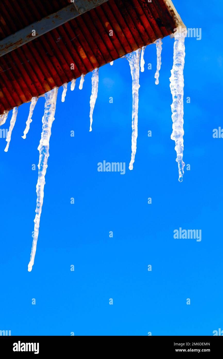 Many large and sharp icicles hang on the roof of the house Stock Photo ...
