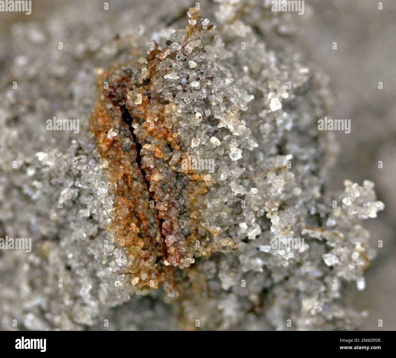 Hydric soil is formed under conditions of saturation, flooding or ...