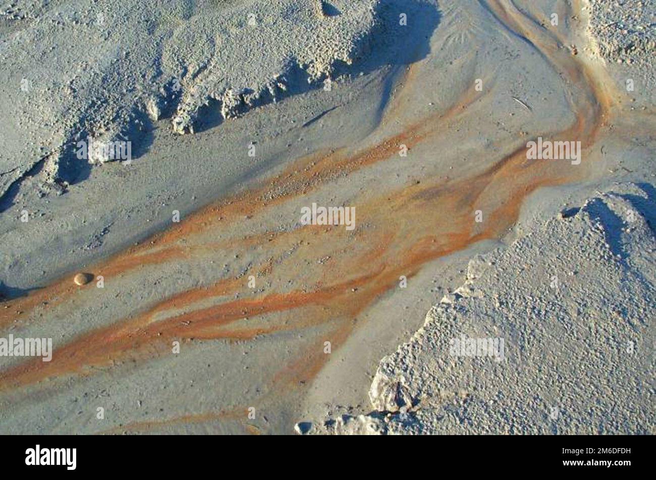 Wetland hydrology indicators provide observable evidence of inundation ...