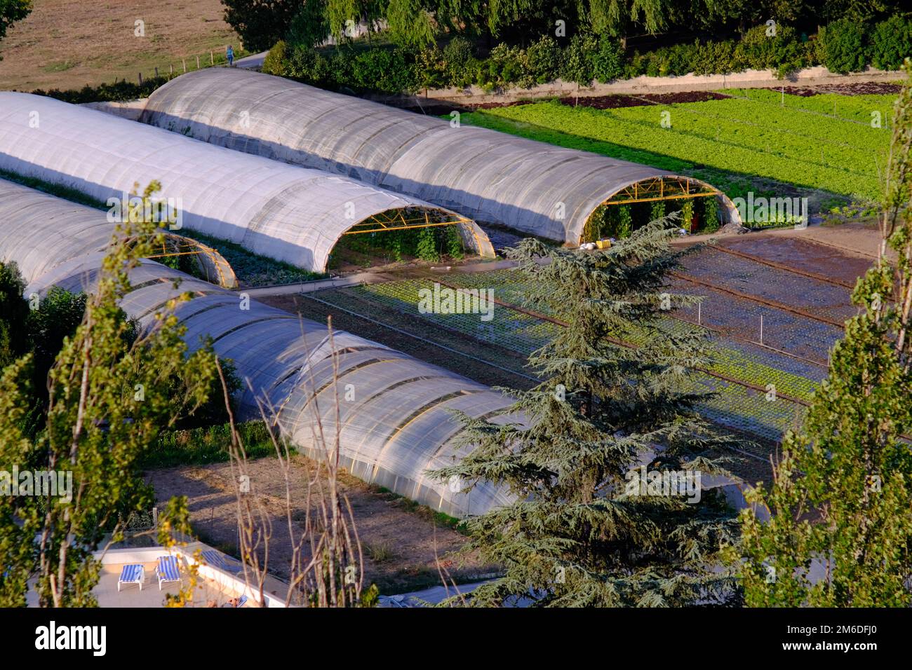 Crop greenhouses hi-res stock photography and images - Alamy