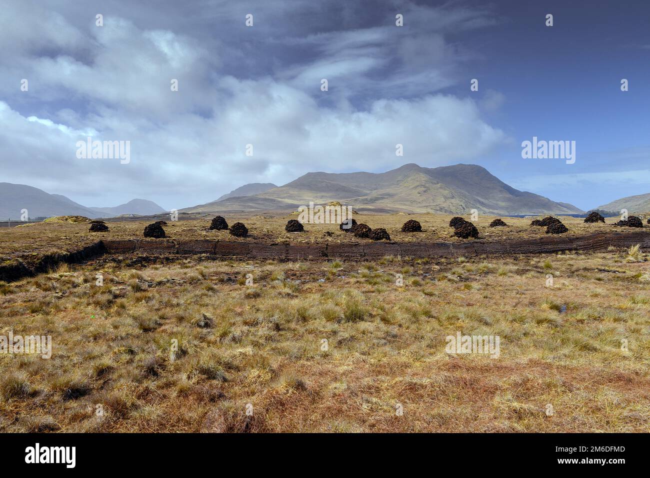 Turf on a bogland Ireland Stock Photo - Alamy