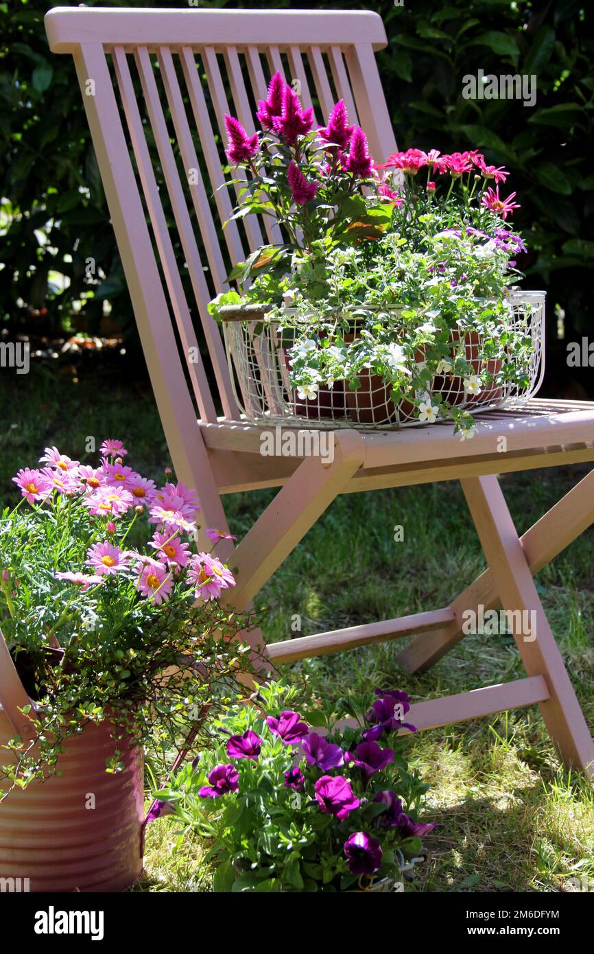 Garden chair decorated with flowers Stock Photo - Alamy