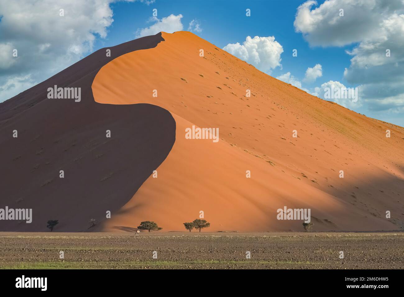 Namibia, the Namib desert, graphic landscape of red dunes Stock Photo ...