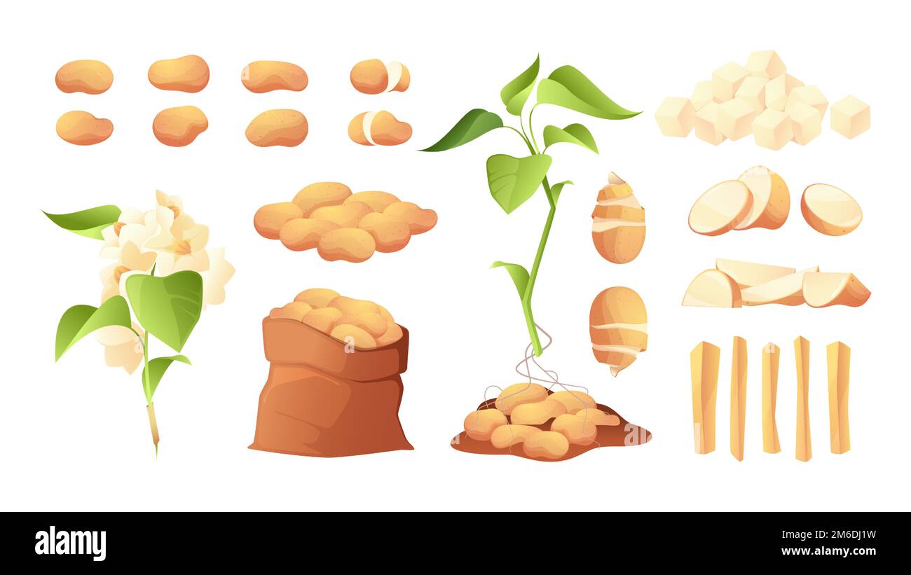 Sliced potato. Cartoon chopped whole peeled rings french fries chips ...