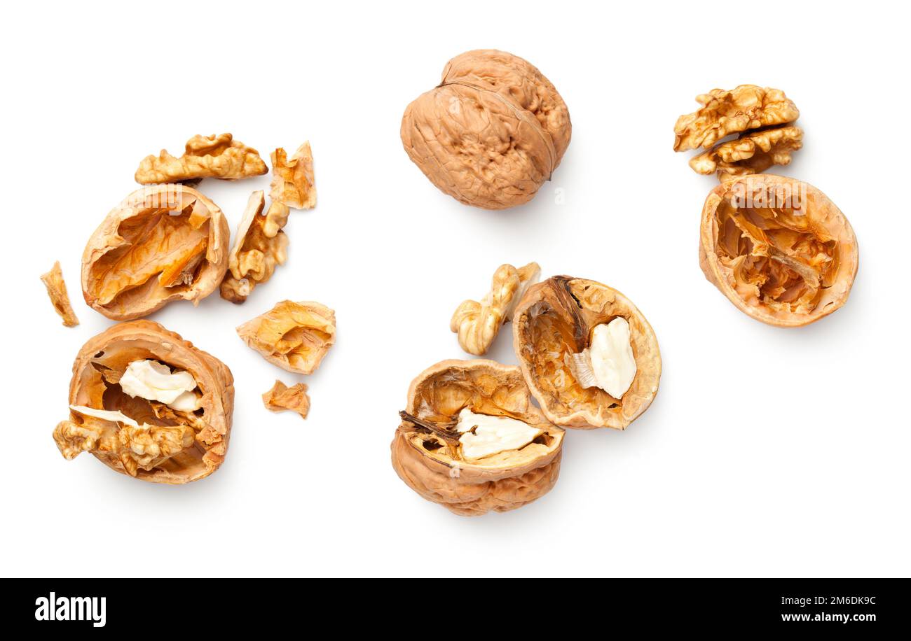 Brain isolated above view hi-res stock photography and images - Alamy