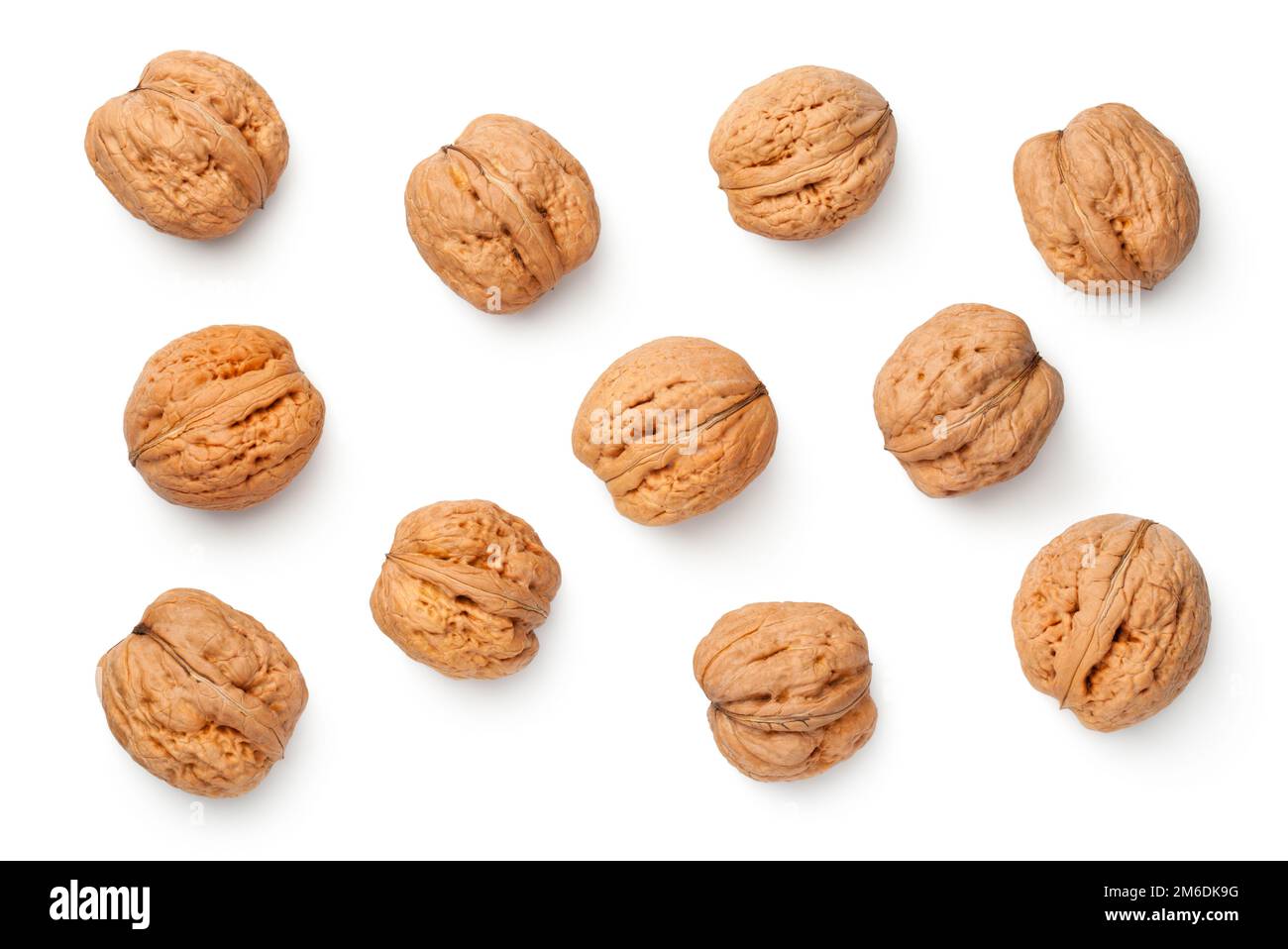 White walnuts hi-res stock photography and images - Alamy