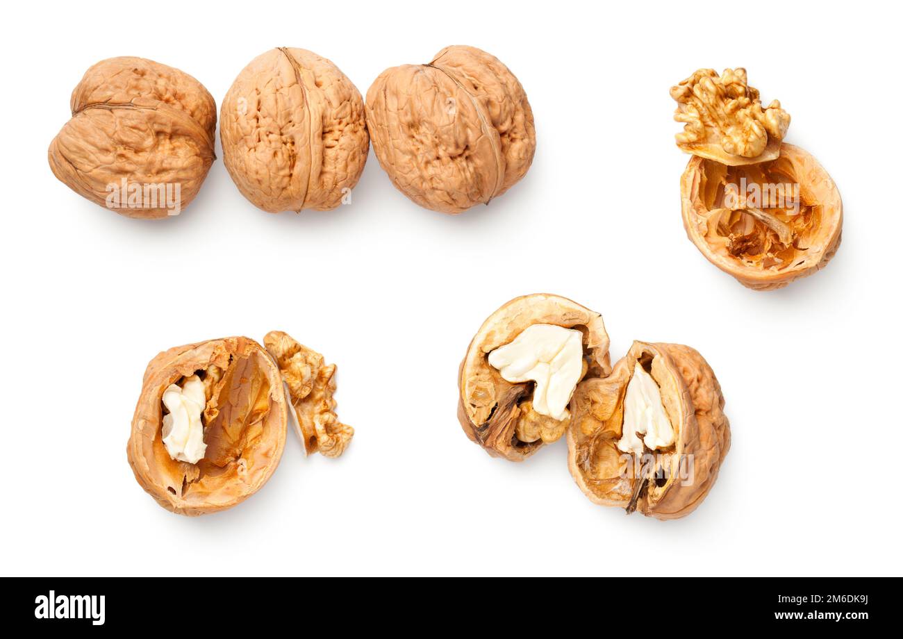 White walnuts hi-res stock photography and images - Alamy