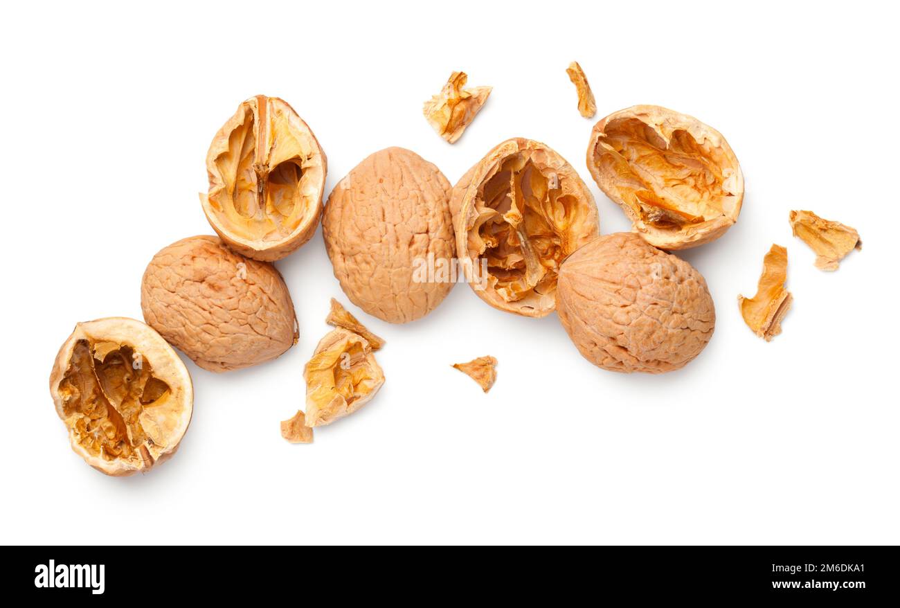 Half shell shells hi-res stock photography and images - Alamy