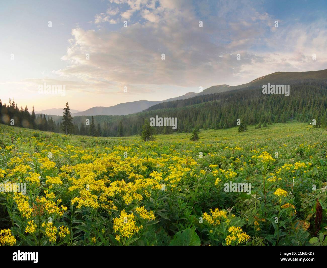 Massif carpathians hi-res stock photography and images - Alamy