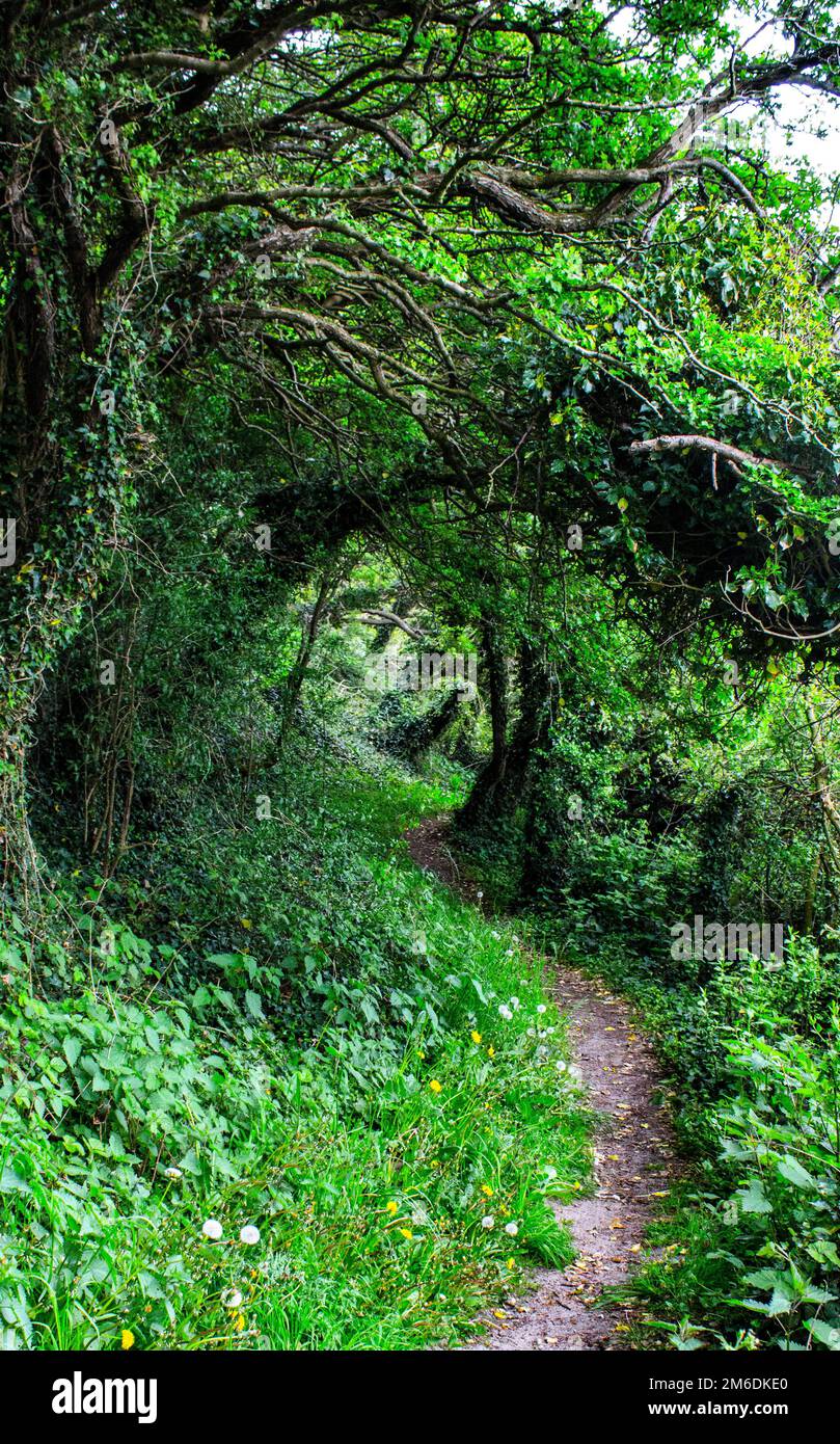 Heritage and love hi-res stock photography and images - Alamy