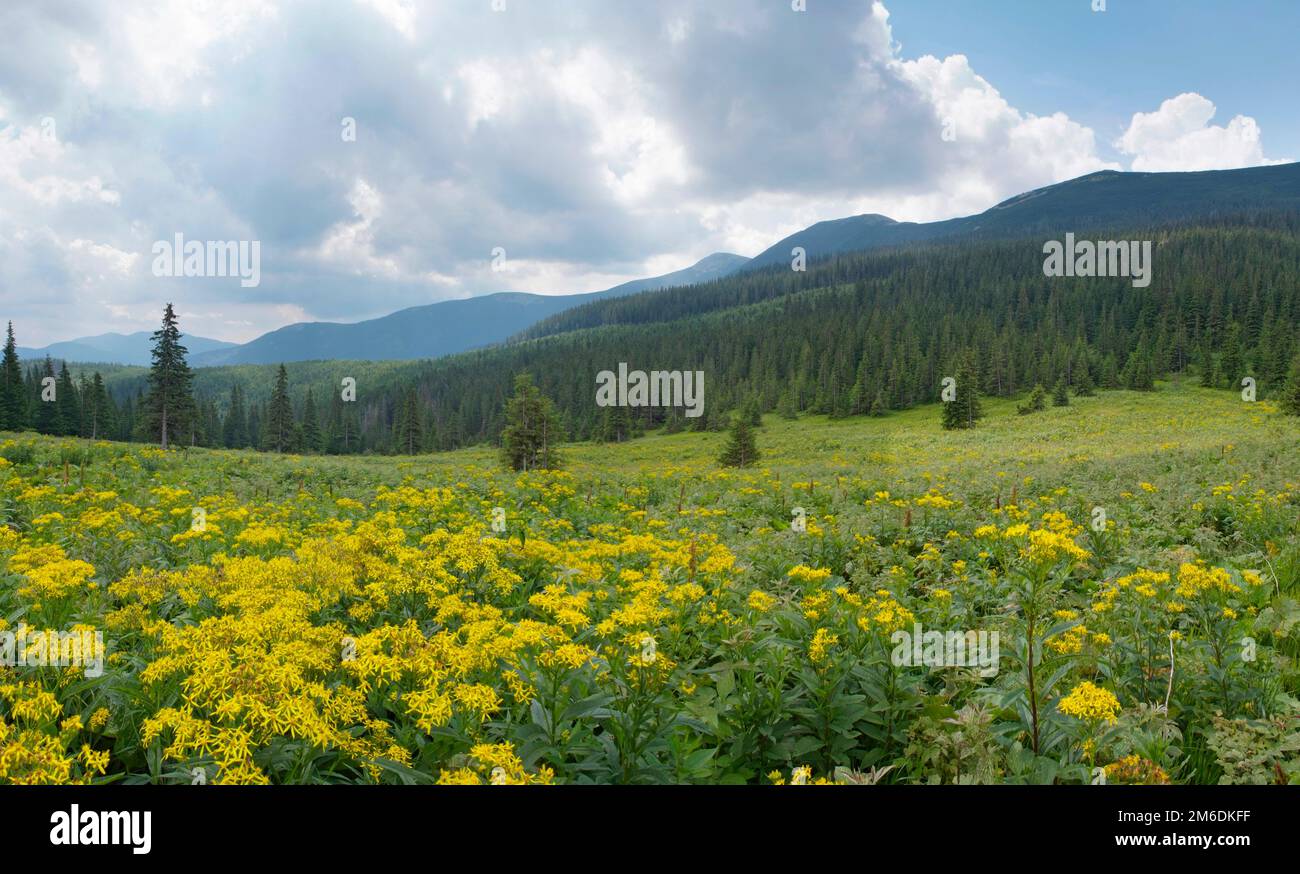 Massif carpathians hi-res stock photography and images - Alamy