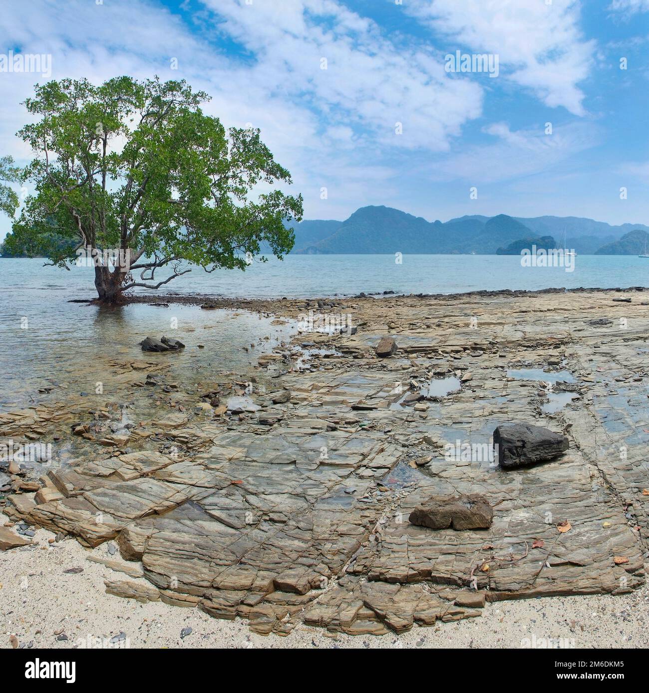 Beautiful scenery with trees and islands Stock Photo - Alamy