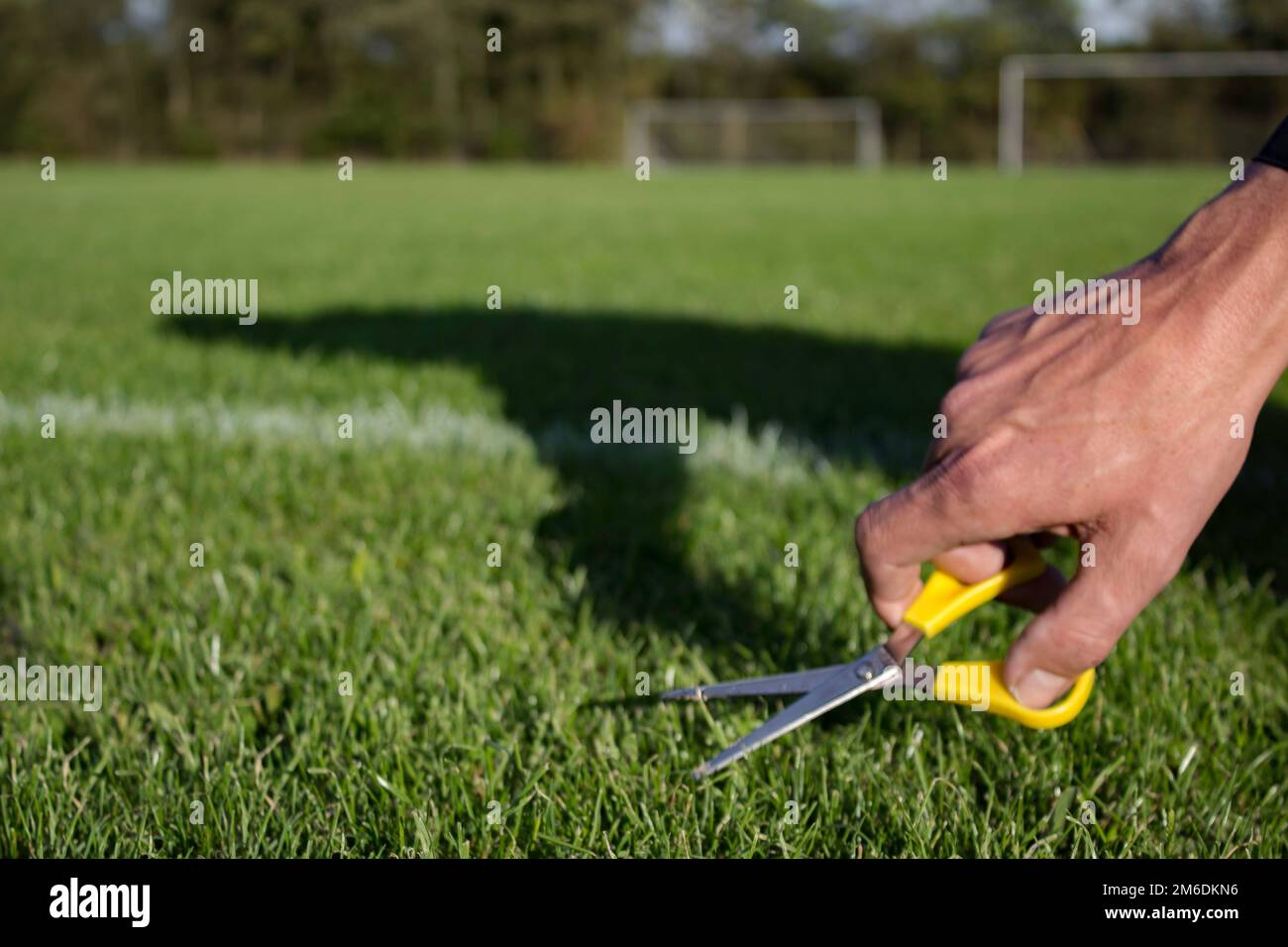 Cutting grass by hand hi-res stock photography and images - Alamy
