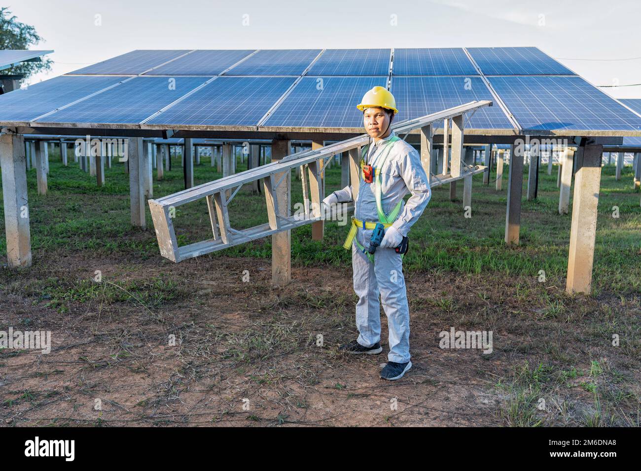Maintenance engineer on duty cary step ladder stand portrait look ...