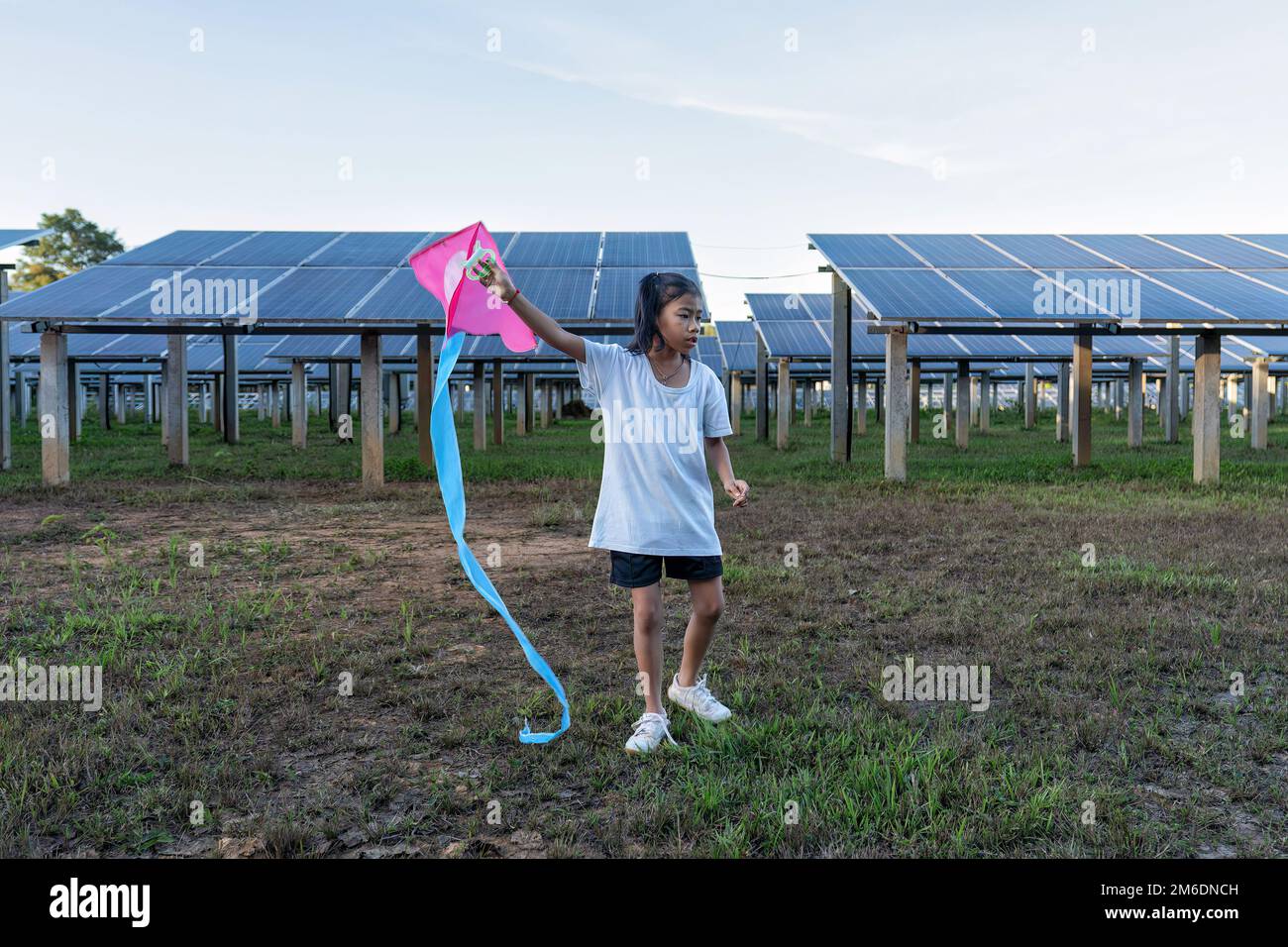 Solar farm on greenery tree in the village provide clean energy eco ...
