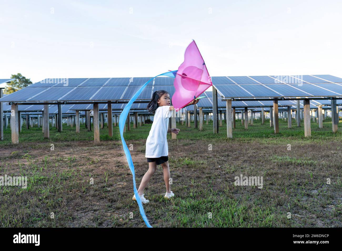 Solar farm on greenery tree in the village provide clean energy eco ...