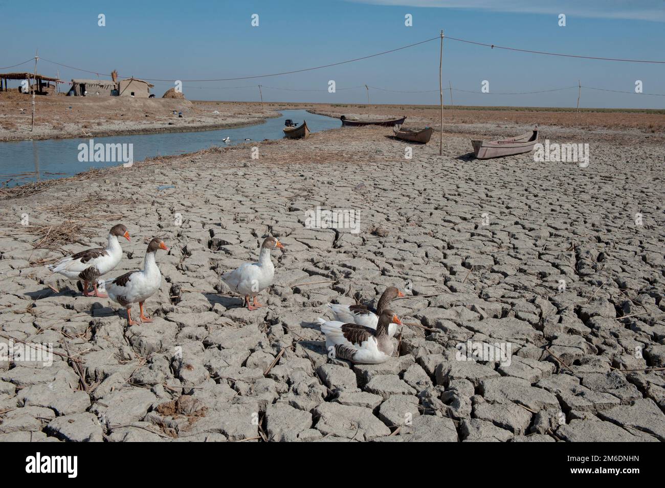 Marsh arabs iraq hi-res stock photography and images - Alamy