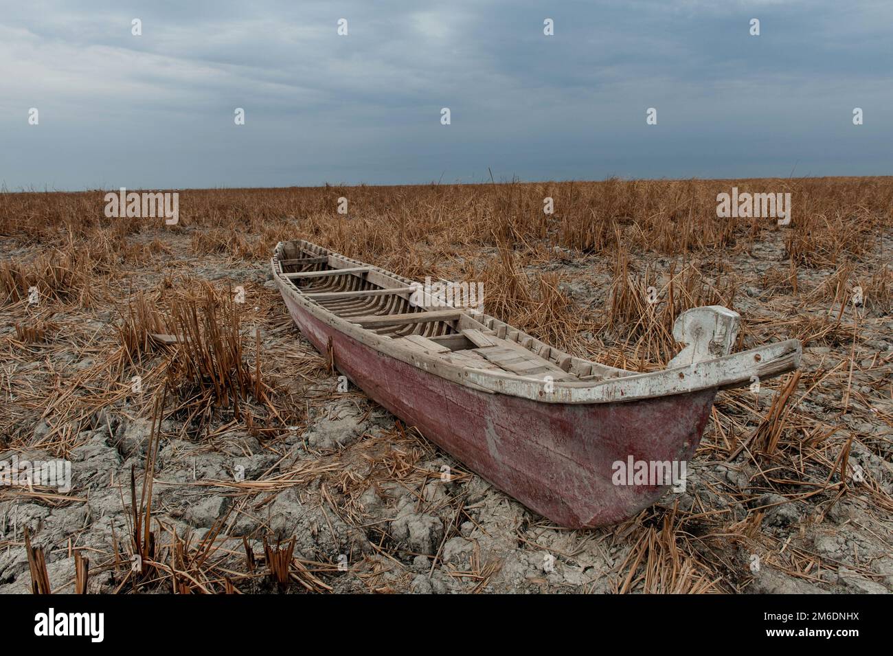 Drought in Southern Iraq Stock Photo - Alamy