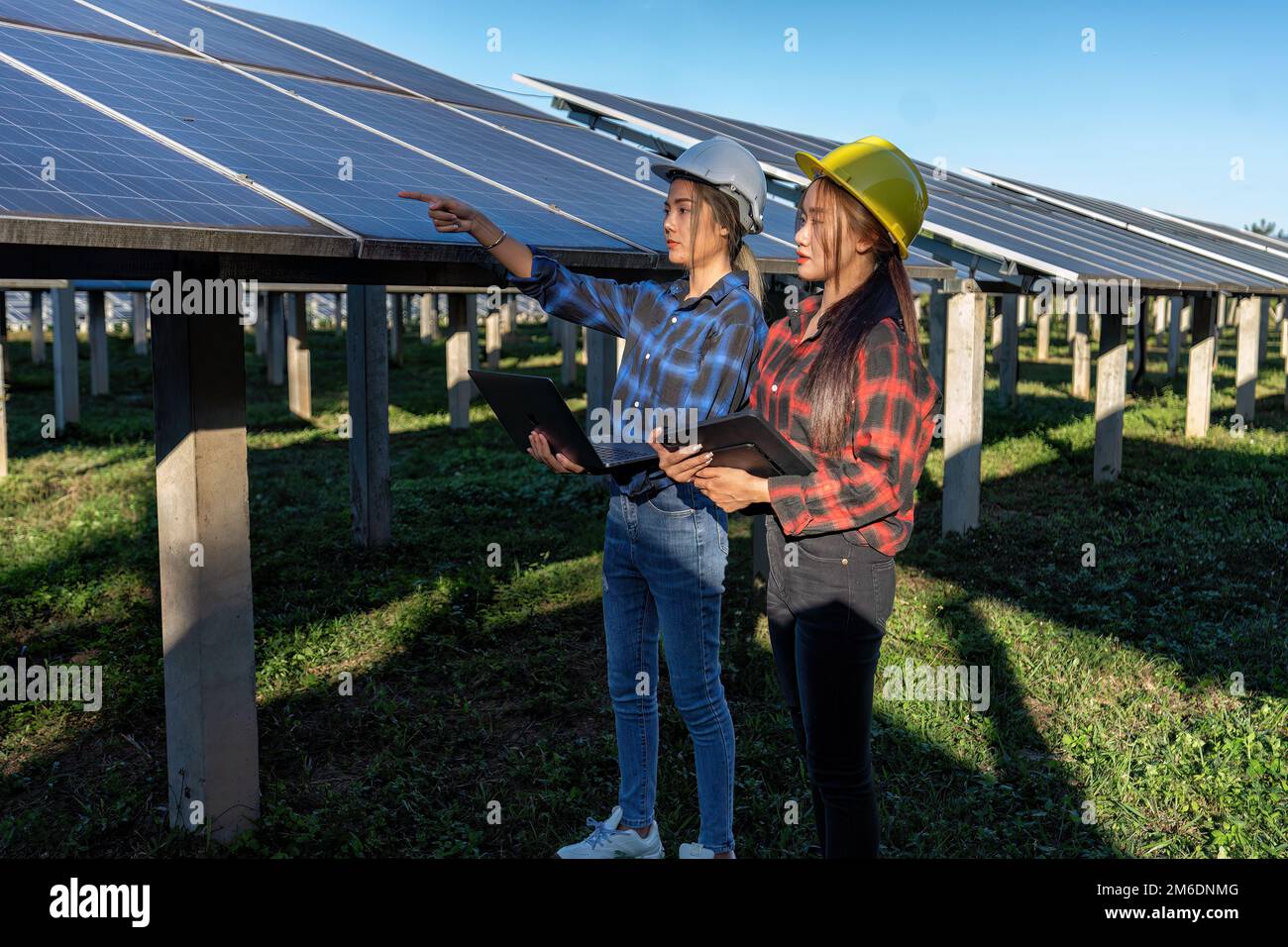 Solar farm greenery tree in the village provide clean energy routine ...