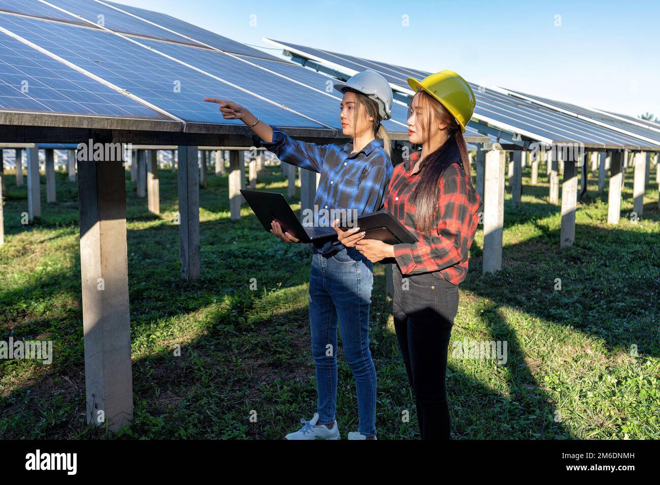 Solar farm greenery tree in the village provide clean energy routine ...