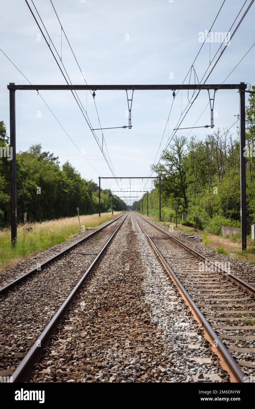 electrified railway tracks with wires countryside lanscape perspective ...