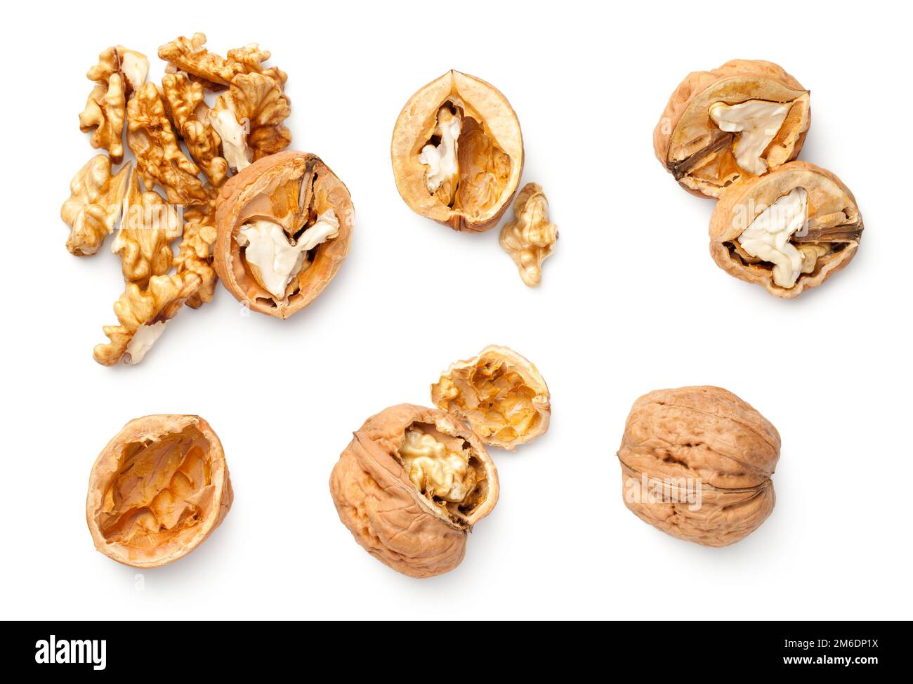 Half open walnuts hi-res stock photography and images - Alamy