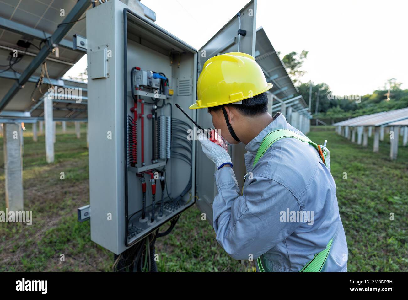 Solar farm on greenery tree in the village provide clean energy eco ...
