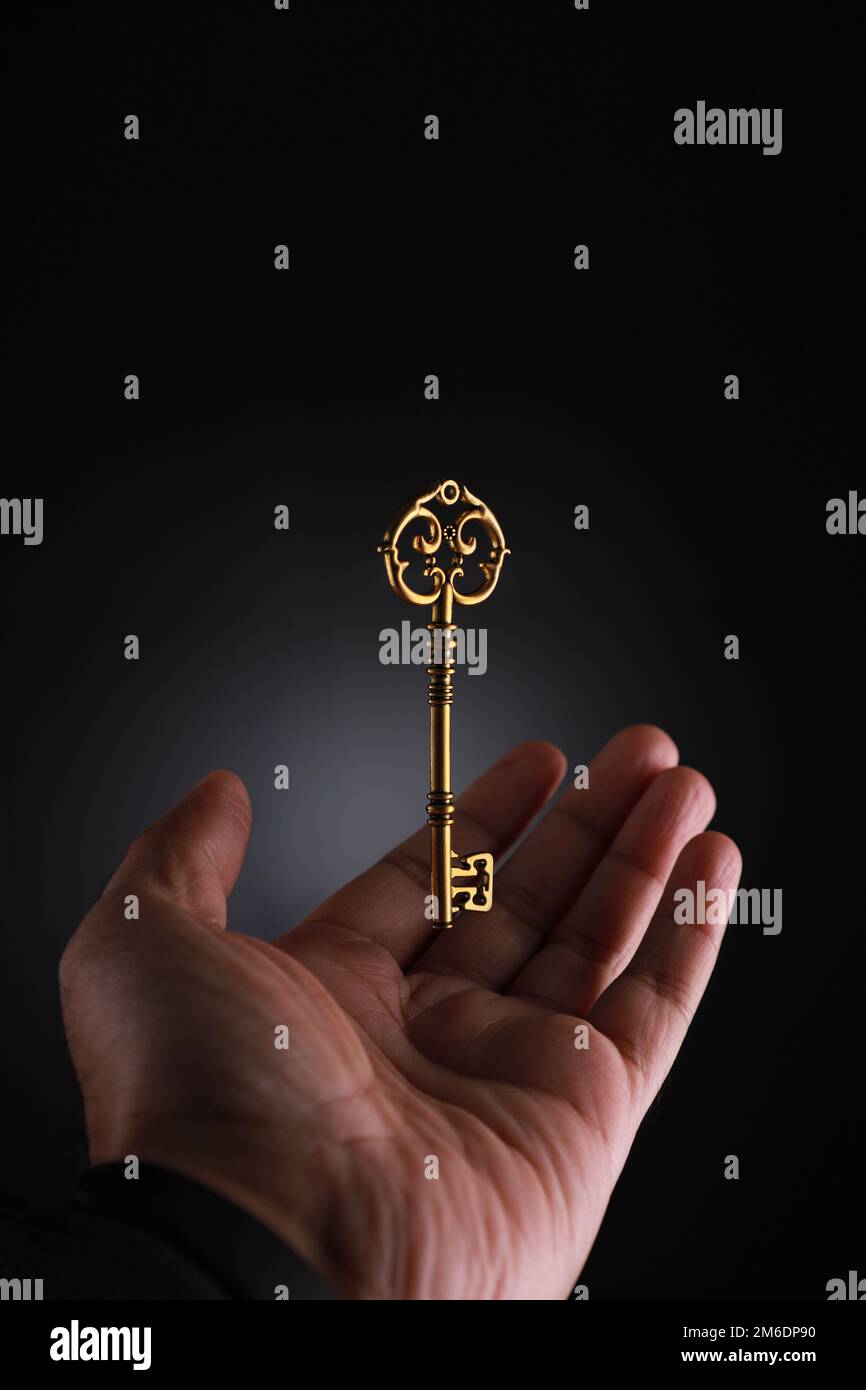 Hand Catching a Golden Key Business Opportunity Concept Stock Photo - Alamy