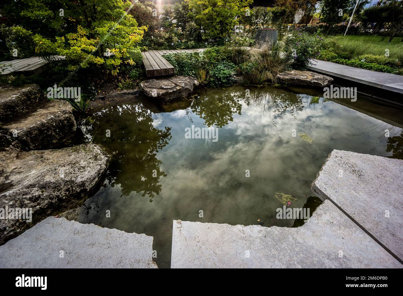 Beautiful pond in nature garden Stock Photo - Alamy