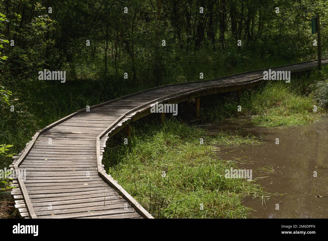 park pond landscape wooden boardwalk over lake summer trees perspective ...
